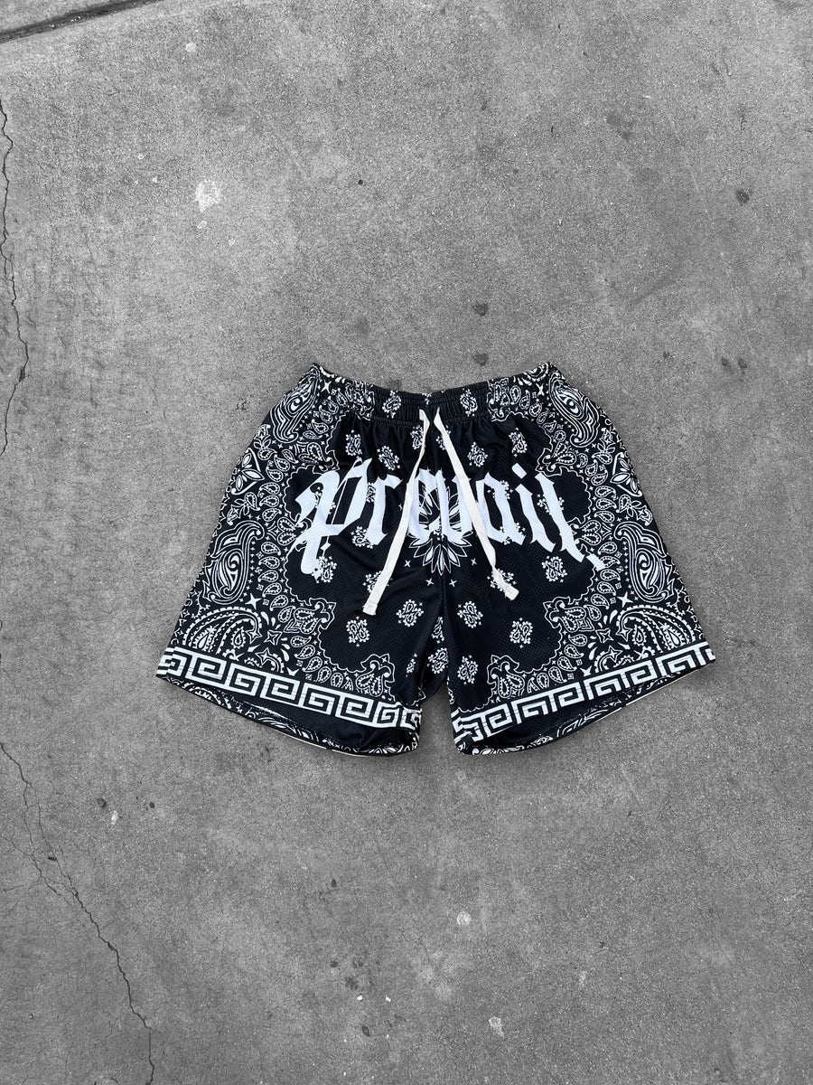Paisley - Shorts – PREVAIL BRAND